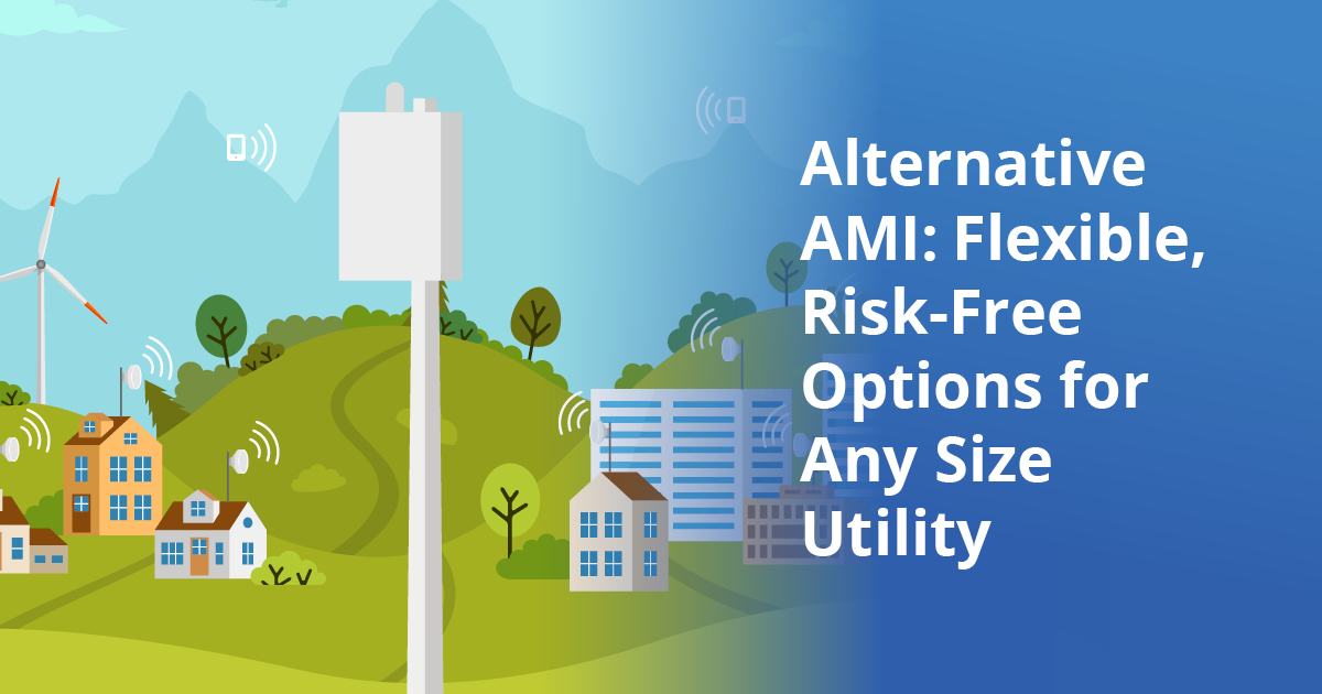 Managed AMI Service: Flexible, Risk-Free Alternative Options - Ti-SALES
